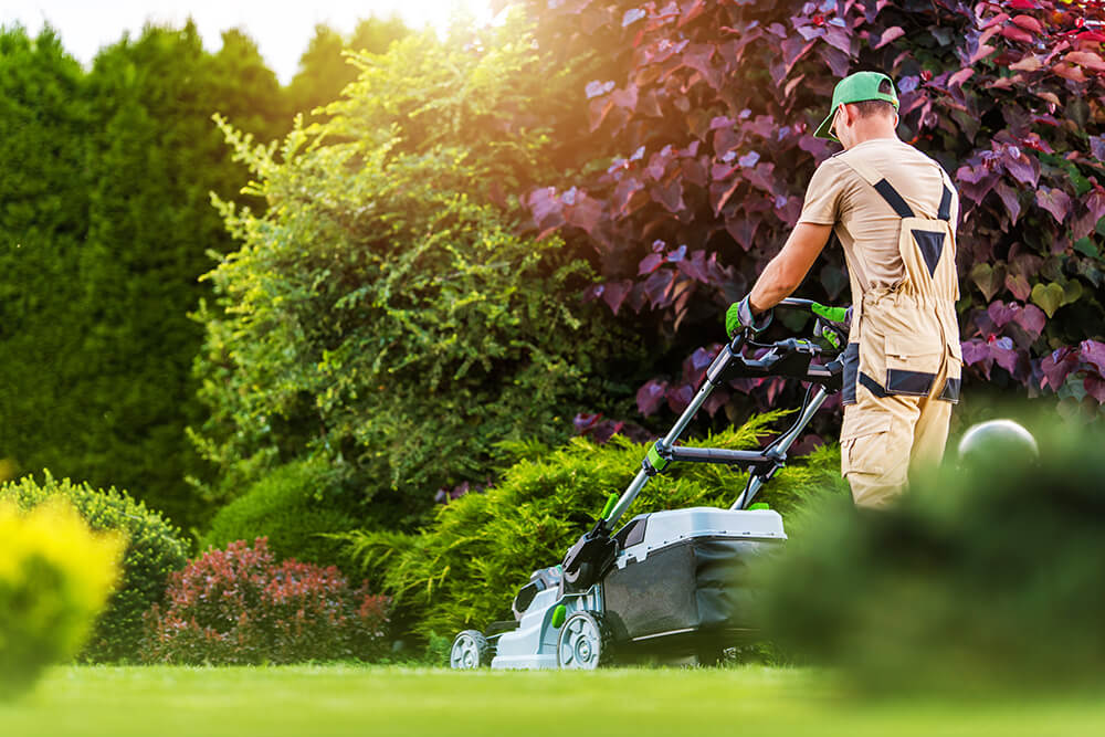 Landscape Maintenance - Brian's Lawn Care