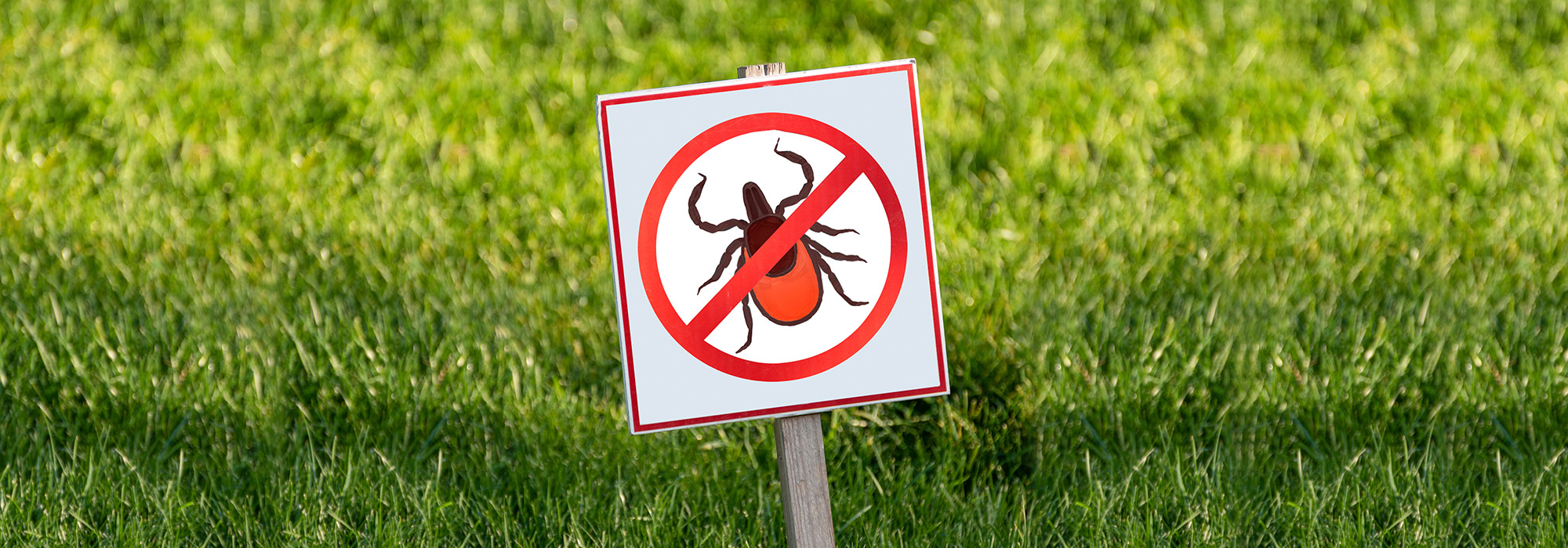 Mosquito, Tick & Inspect Spraying - Brian's Lawn Care